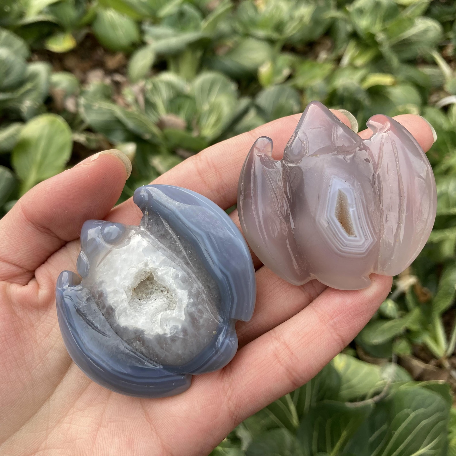 1PC 2 Natural Gray Agate Geodes Batcrystal Batcrystal - Etsy