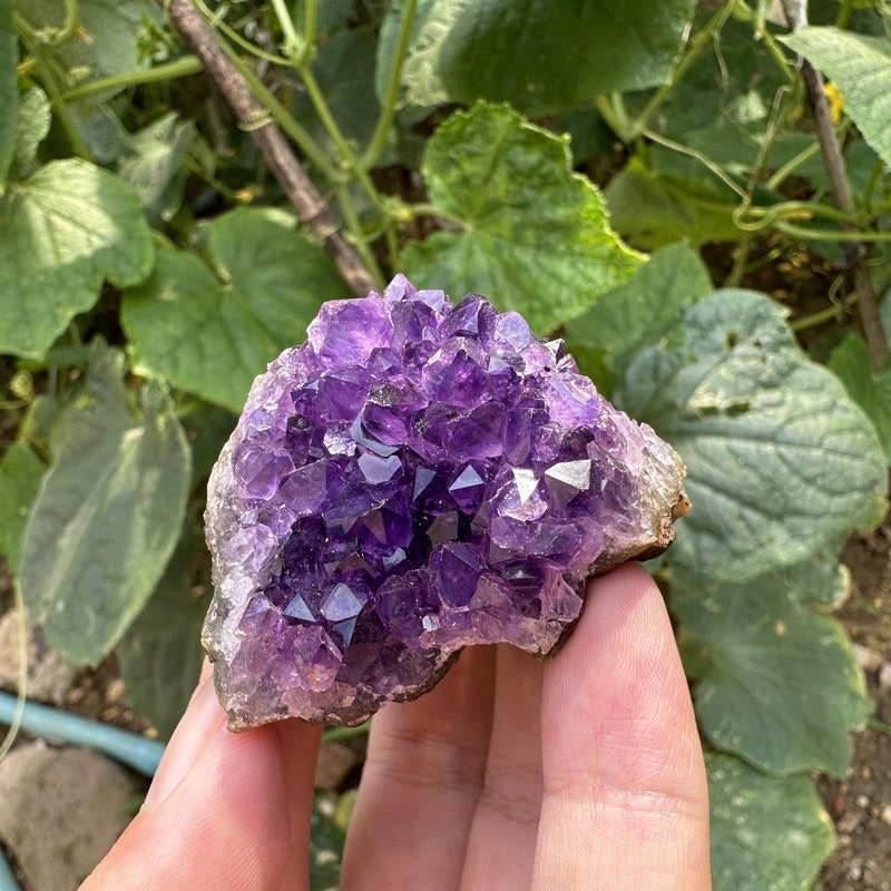 Amethyst Rocks - Etsy