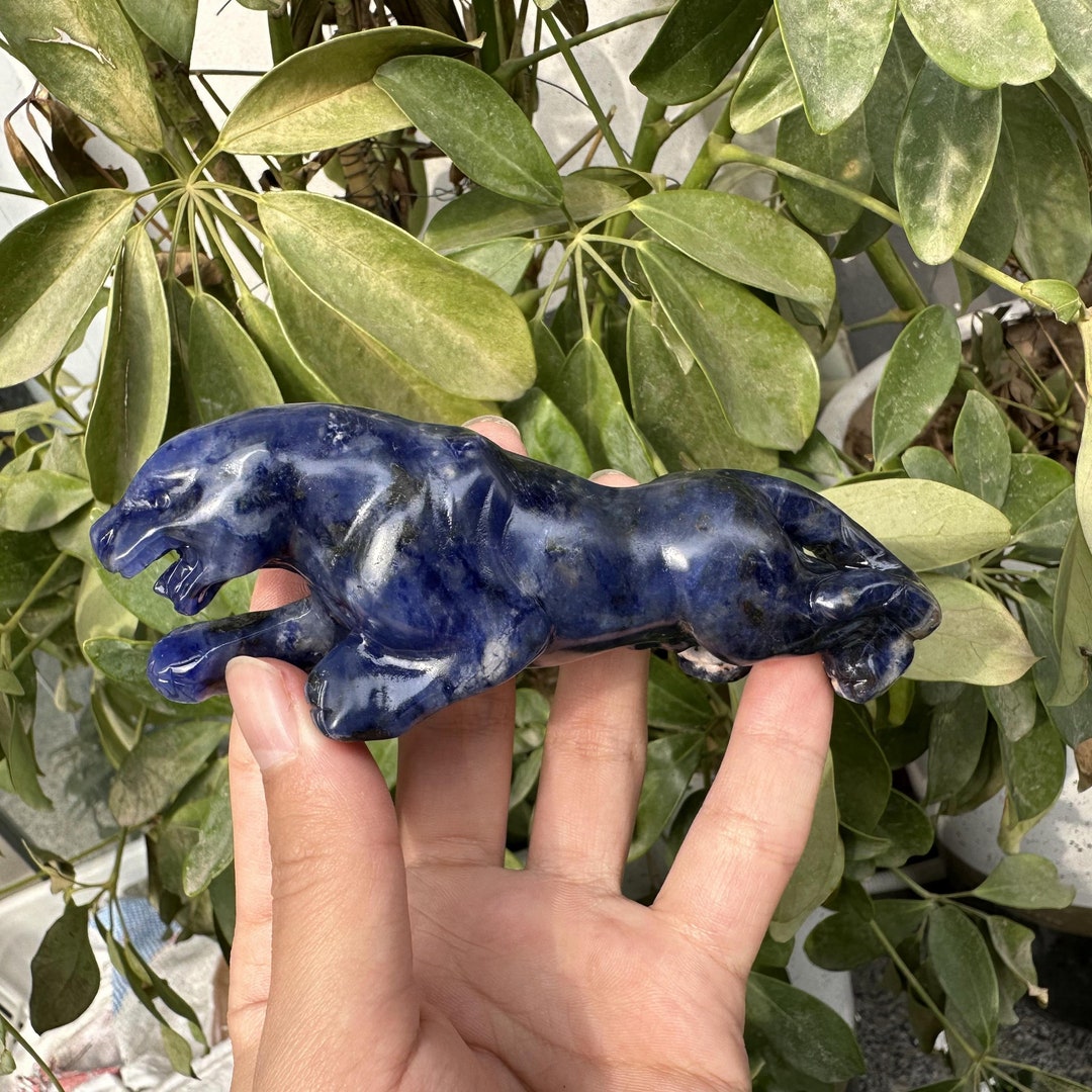 1PC 4.6 Natural Sodalite Leopard,quartz Crystal Animal,crystal Heal ...