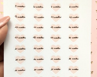 Baby Sizes Stickers Baby Bump Stickers Pregnancy Sticker - Etsy