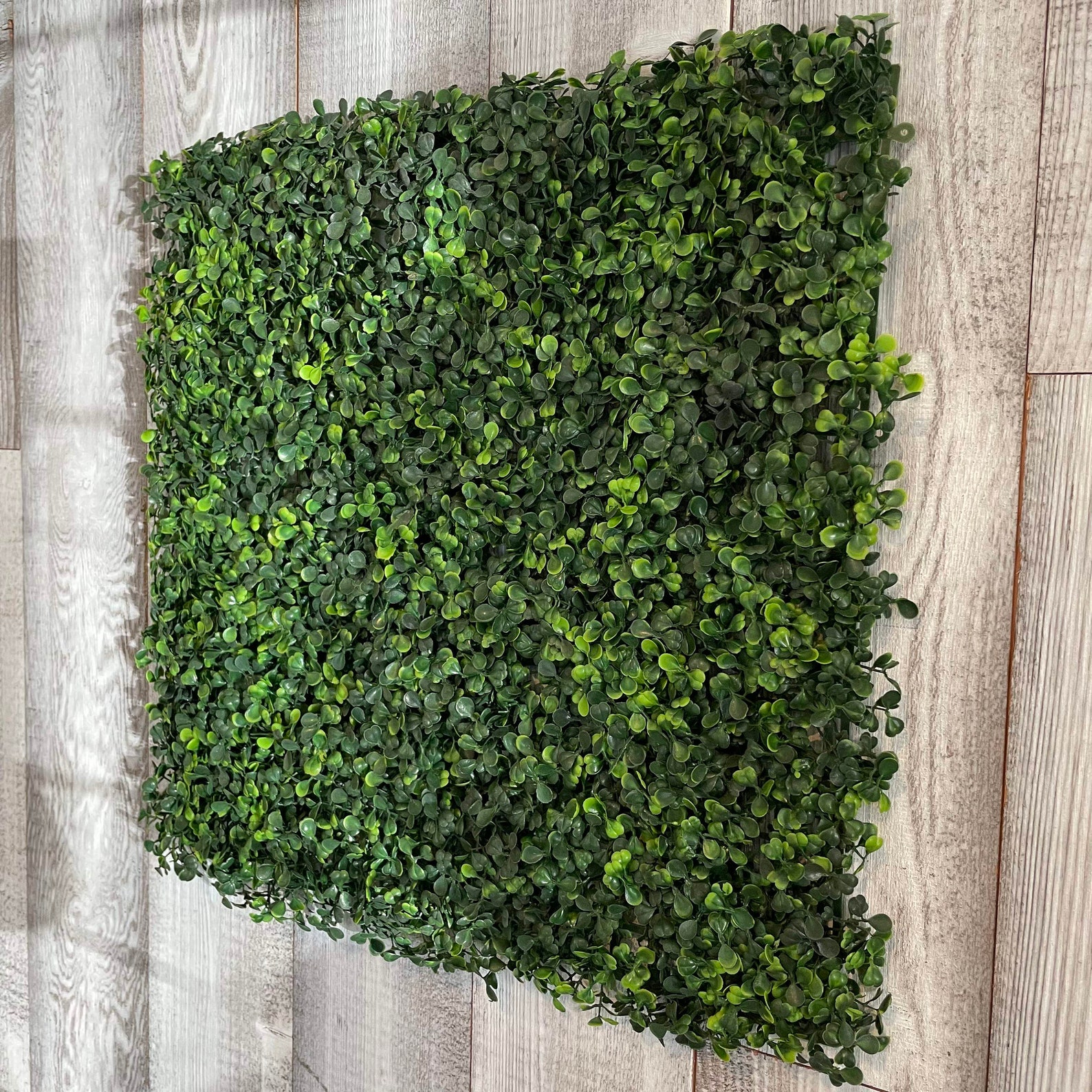Boxwood Wall Panels - Original - Etsy
