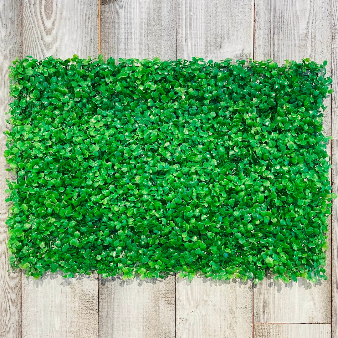 Boxwood Wall Panels - Bright - Etsy