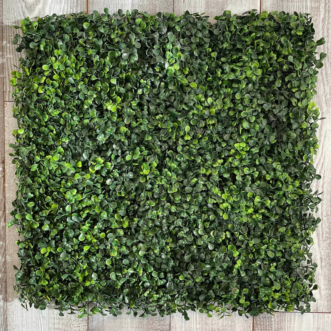 Boxwood Wall Panels - Original - Etsy
