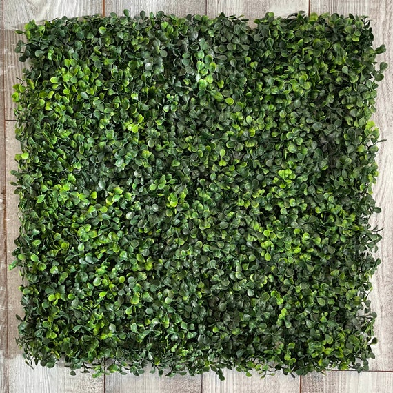 Boxwood Wall Panels Original - Etsy