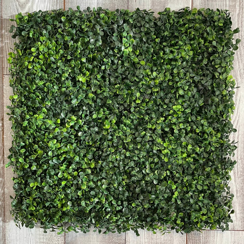 Greenery Backdrop - Etsy