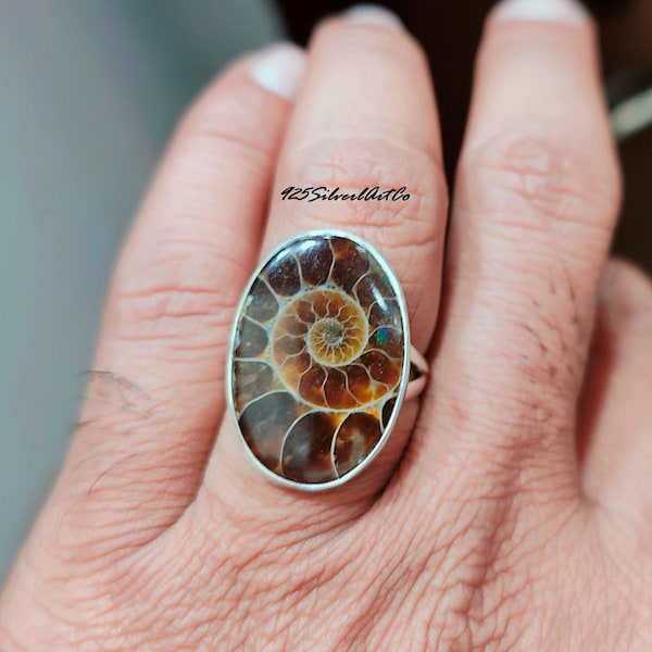 Ammonite Jewelry - Etsy