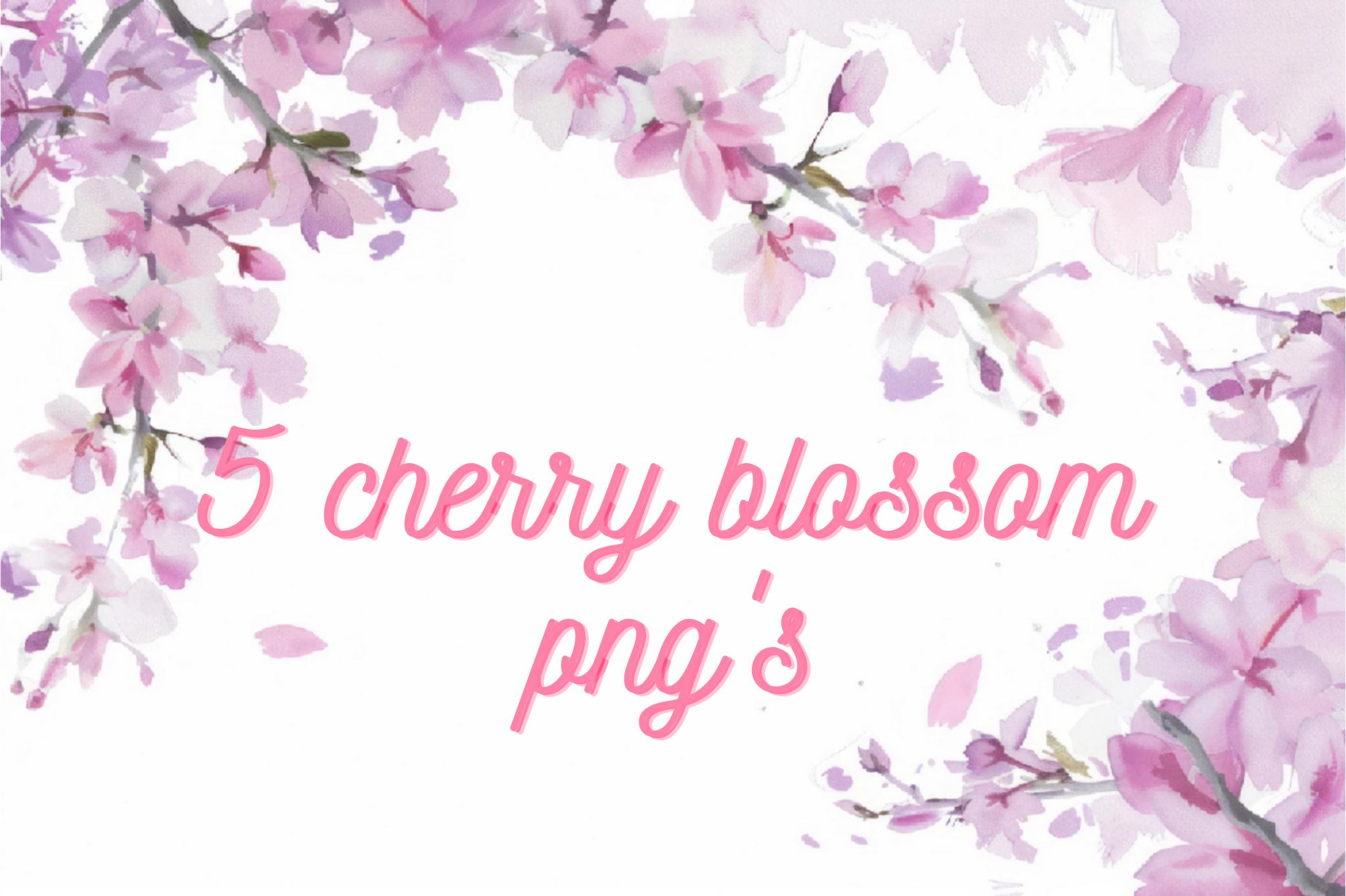Cherry Blossom Branch Png, Watercokor Sakurai Floral Clipart Crafts ...