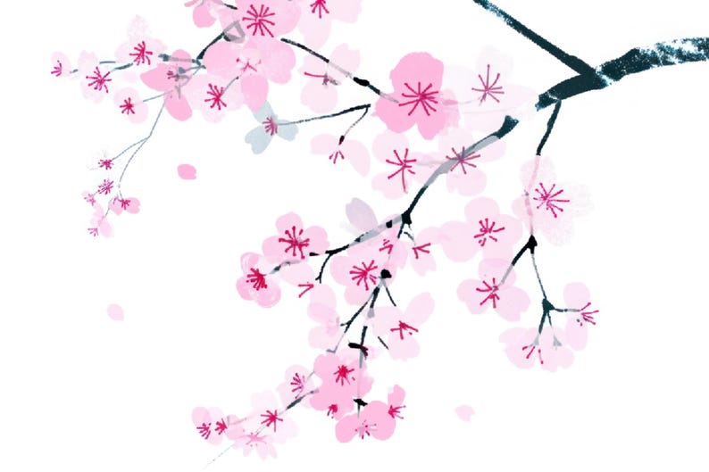 Cherry Blossom Branch Png, Watercokor Sakurai Floral Clipart Crafts ...