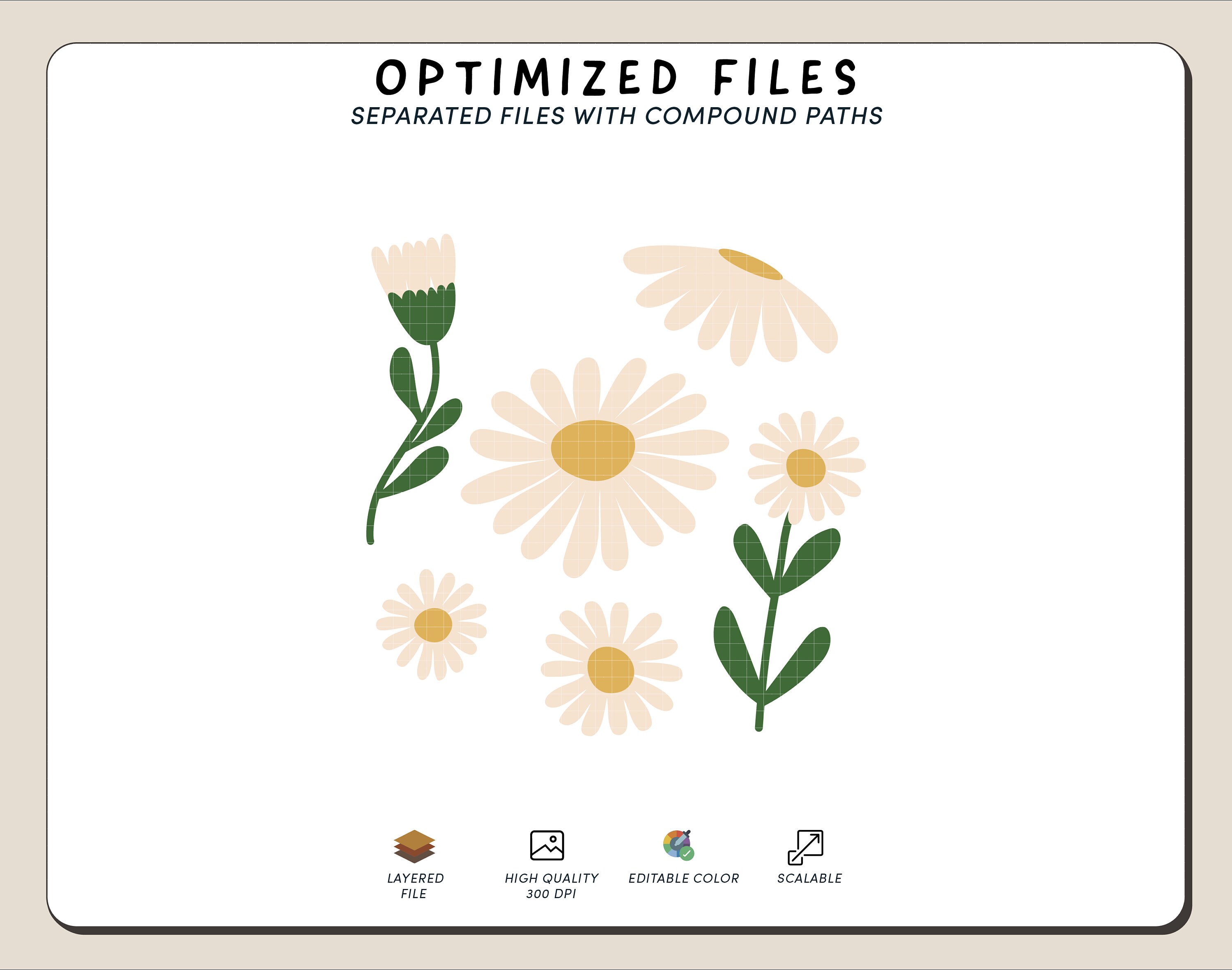 Daisy Flower PNG and SVG Bundle, Files for Cricut, SVG Illustration ...