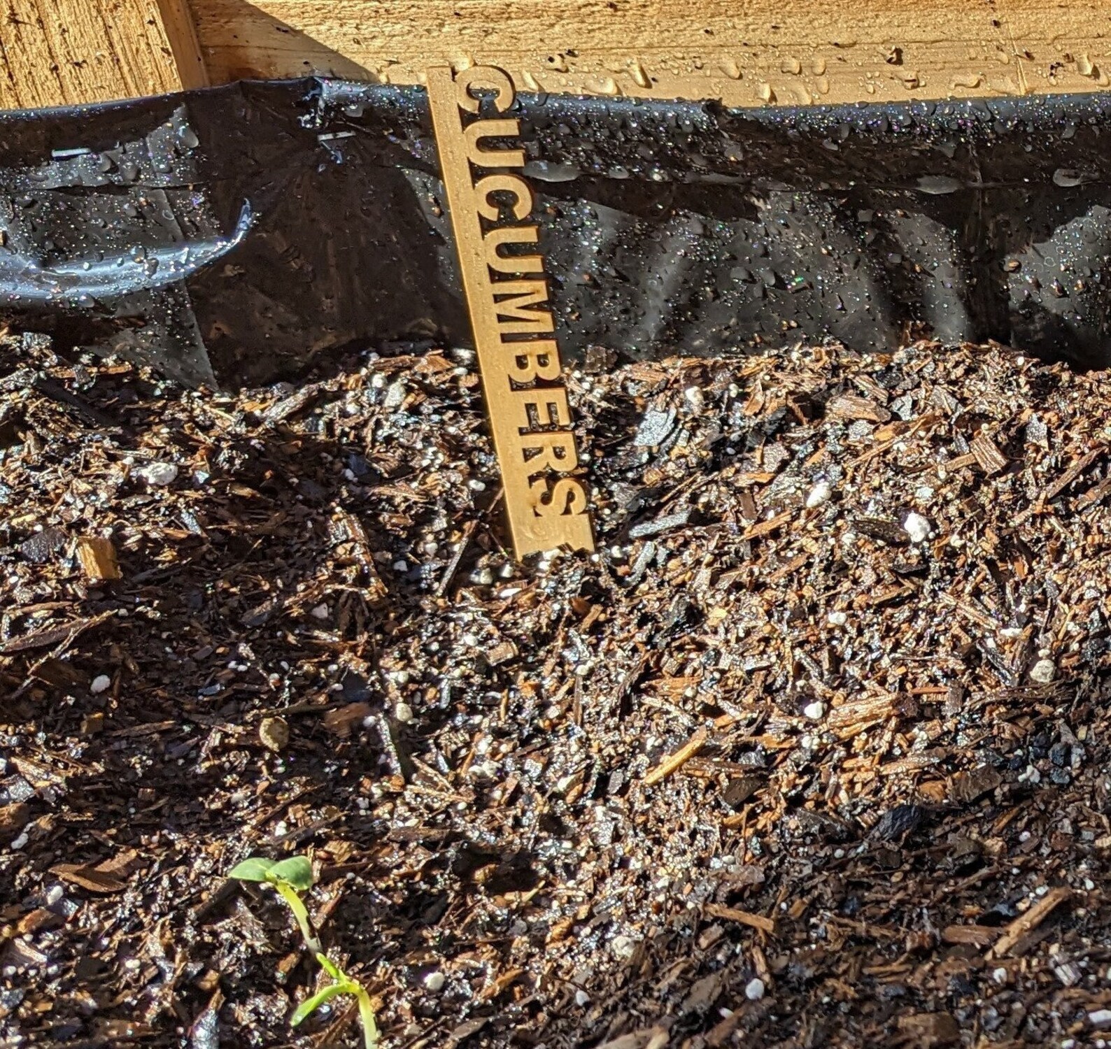 Herb Tags // Garden Labels // Plant Tags // Custom // Vegetable Tag ...