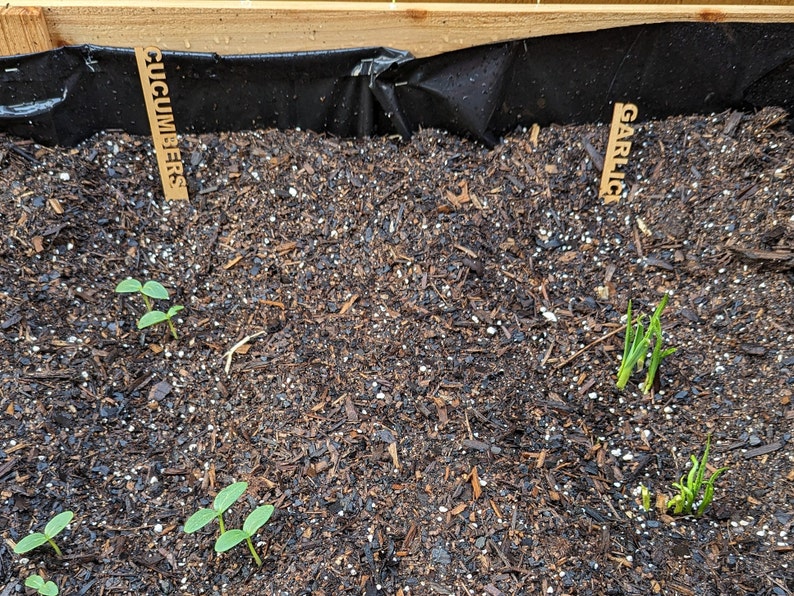 Herb Tags // Garden Labels // Plant Tags // Custom // Vegetable Tag ...