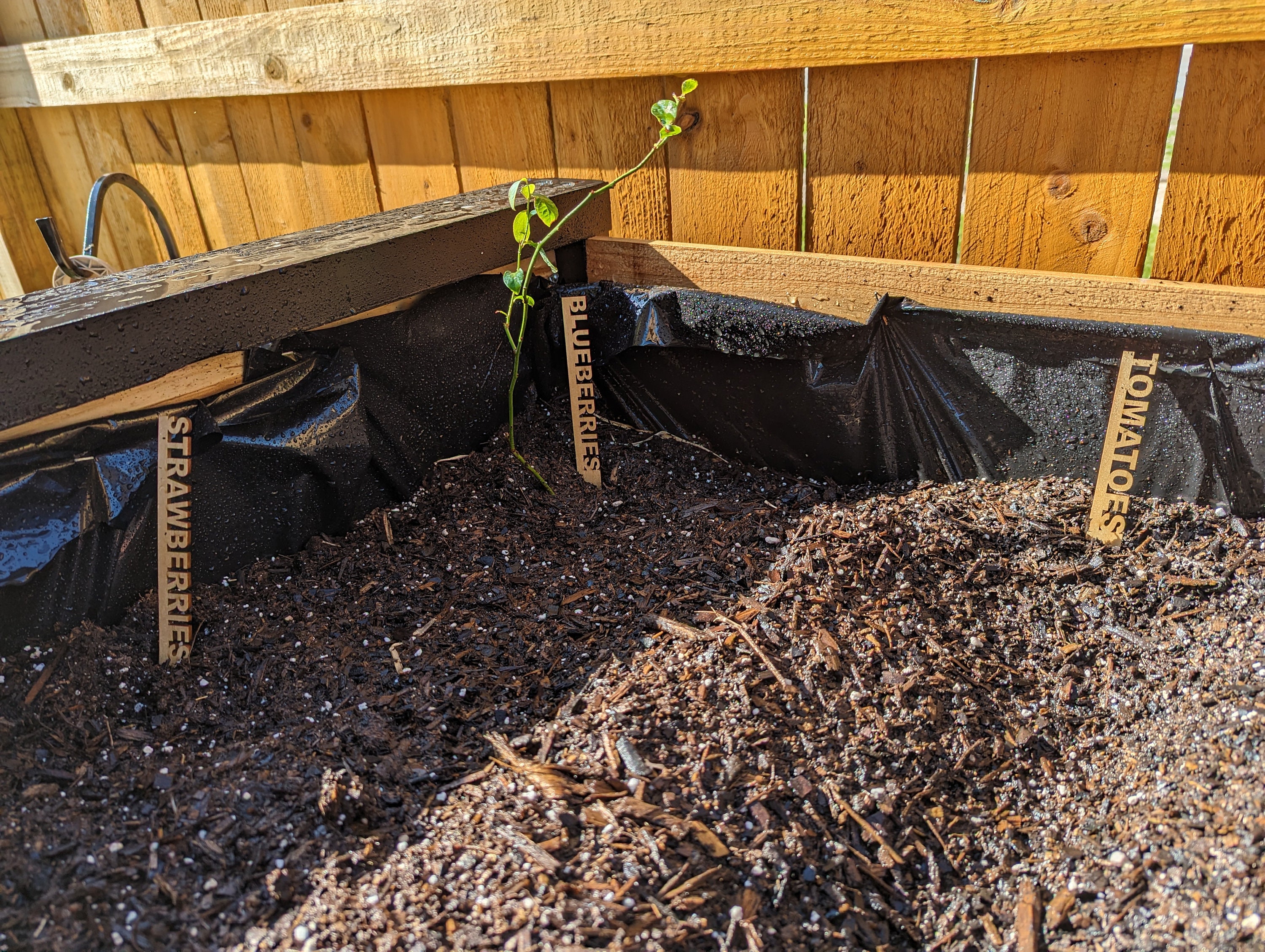 Herb Tags // Garden Labels // Plant Tags // Custom // Vegetable Tag ...