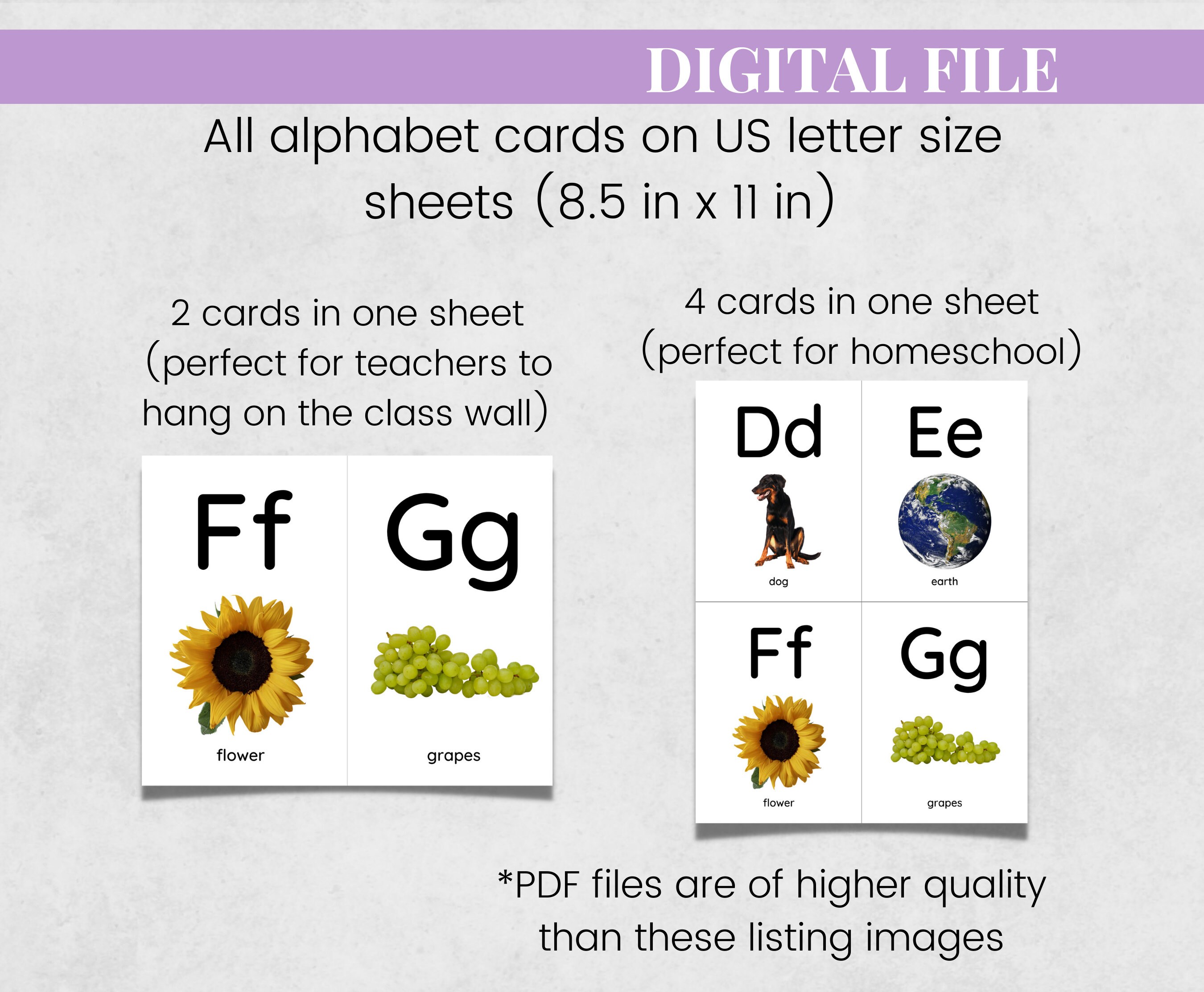 Alphabet Cards With Real Pictures Printable Flashcards - Etsy
