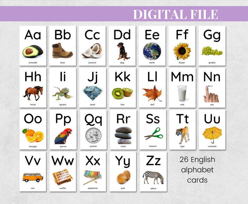 Alphabet Cards With Real Pictures Printable Flashcards - Etsy