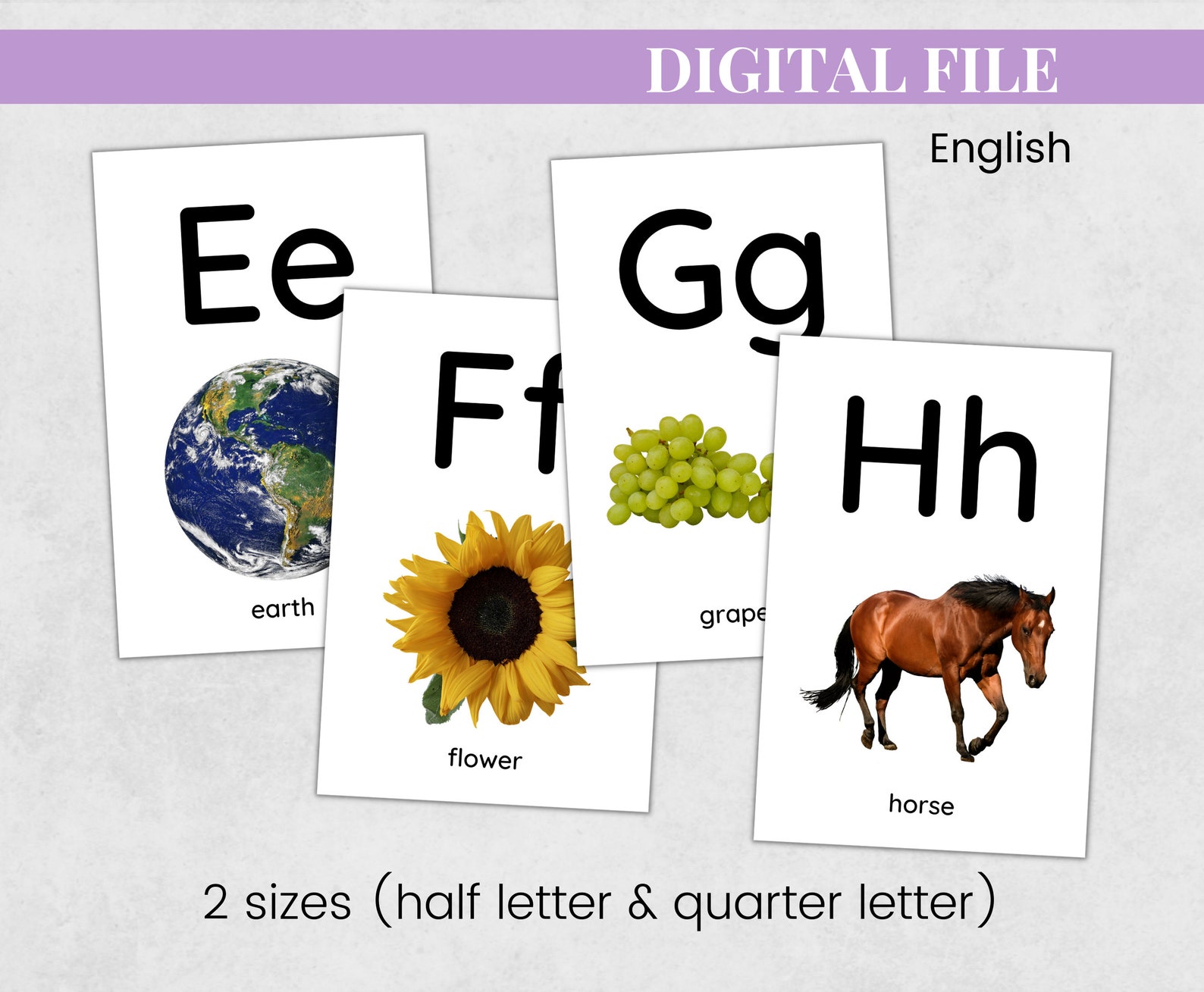 Alphabet Cards With Real Pictures Printable Flashcards - Etsy