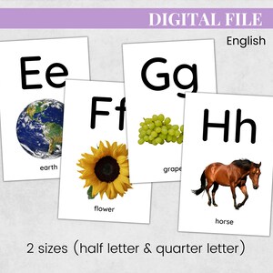 Alphabet Cards With Real Pictures Printable Flashcards - Etsy