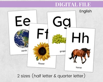 Real Pictures Flashcards - Etsy