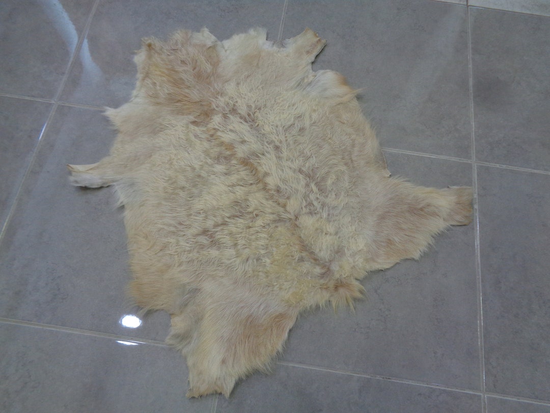 Cream Goatskin Rug, Soft Hair Goat Rug for Upholstery,wall Decor for ...