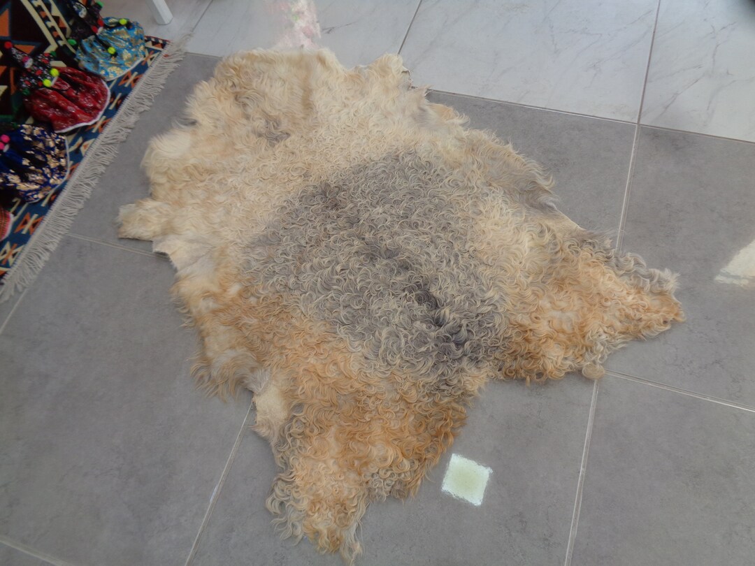 Angora Goatskin Rug, Curly Mohair Skin, Super Soft Bed for Your Dog ...