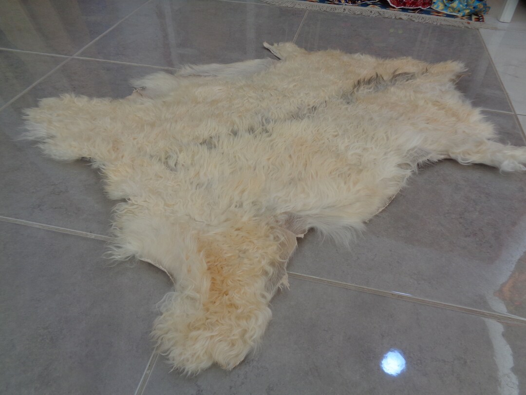 Goat Skin Hide, off White Angora Hide, Cozy Goatskin for Upholstery ...