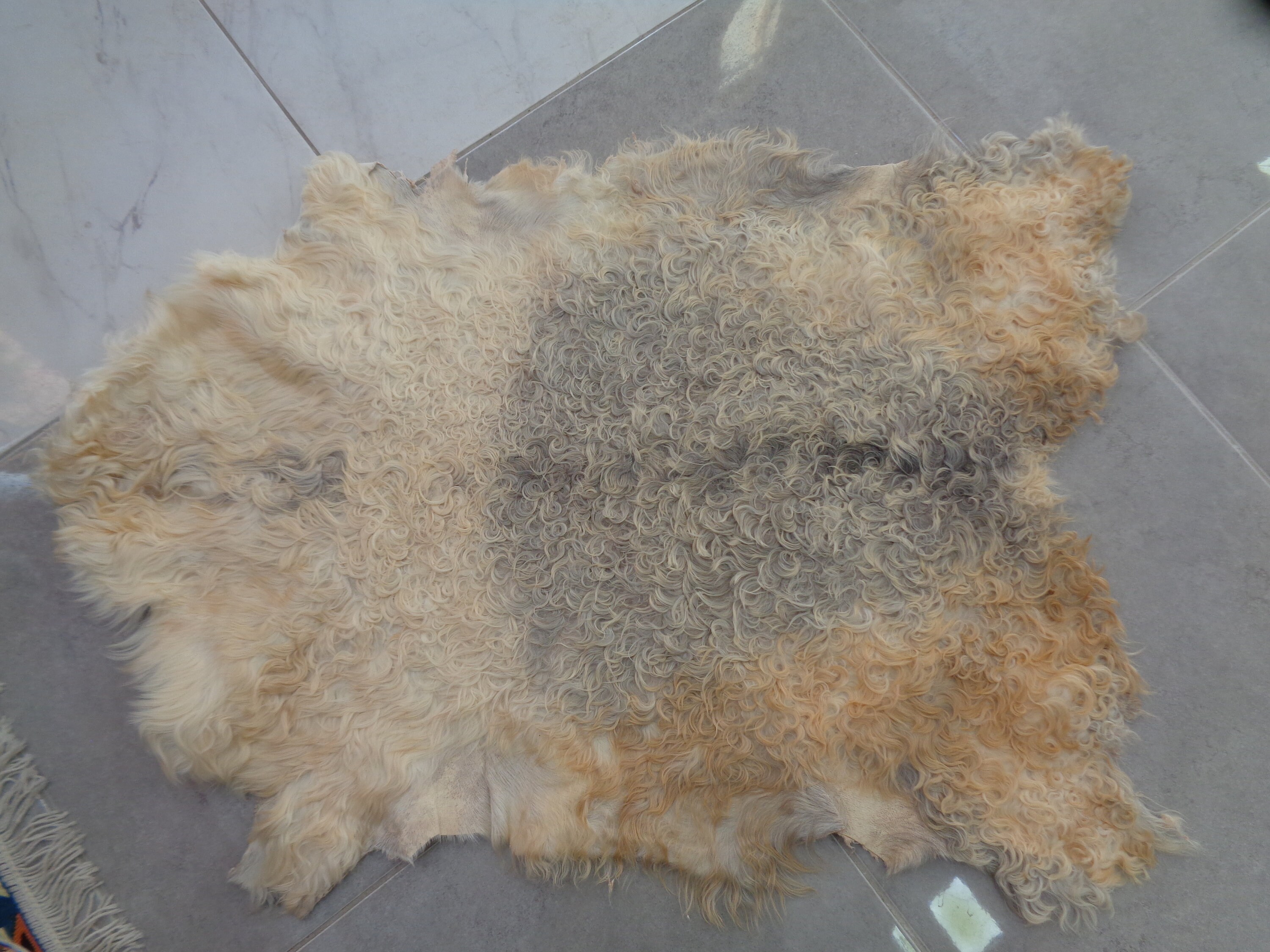 Angora Goatskin Rug Curly Mohair Skin Super Soft Bed for - Etsy