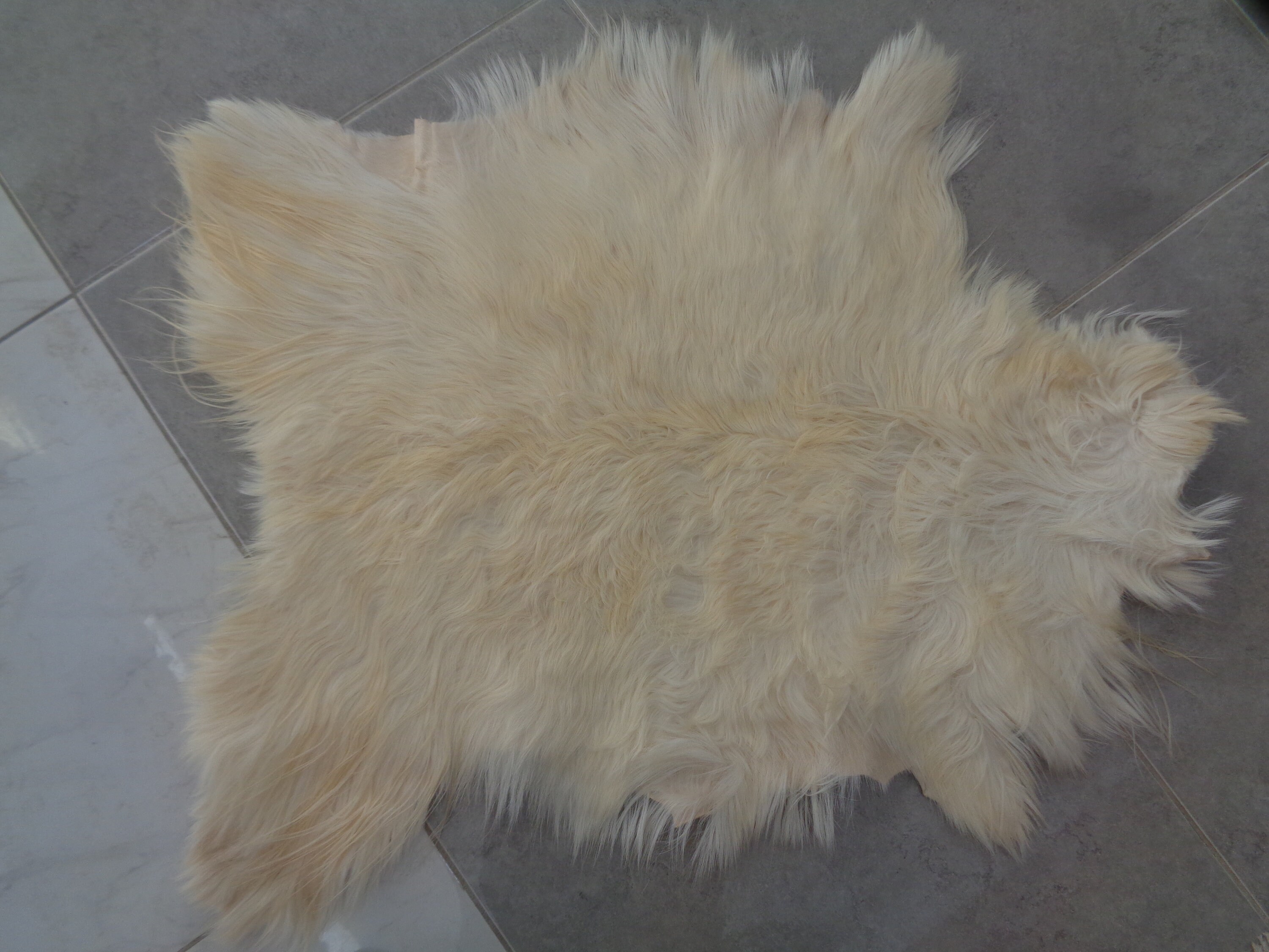 Goat Skin Hide Cream Sofa Cover Rug Goatskin for Upholstery - Etsy