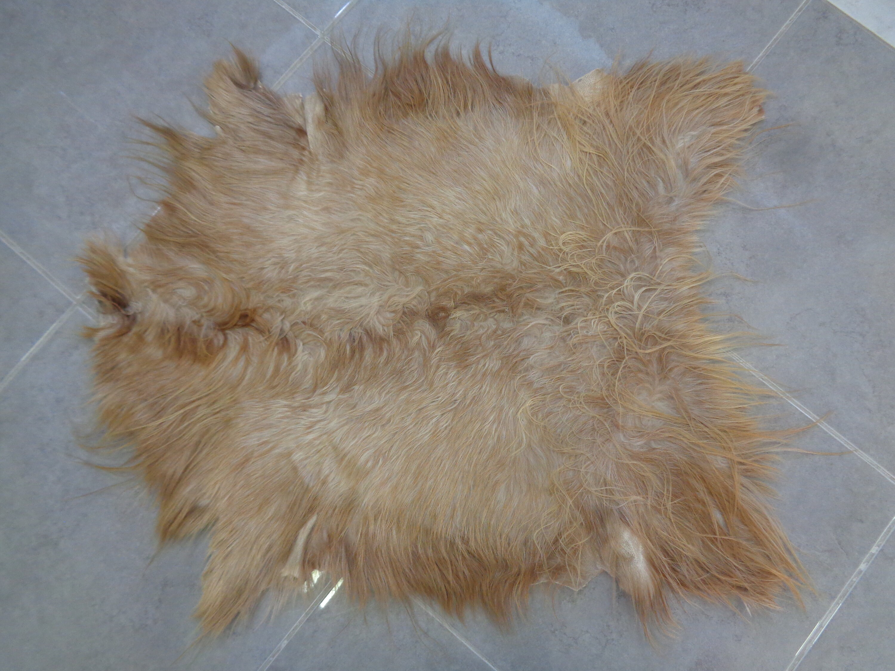 Brown Goatskin Rug, Animal Skin Carpet, Skin Rug for Upholstery, Long ...