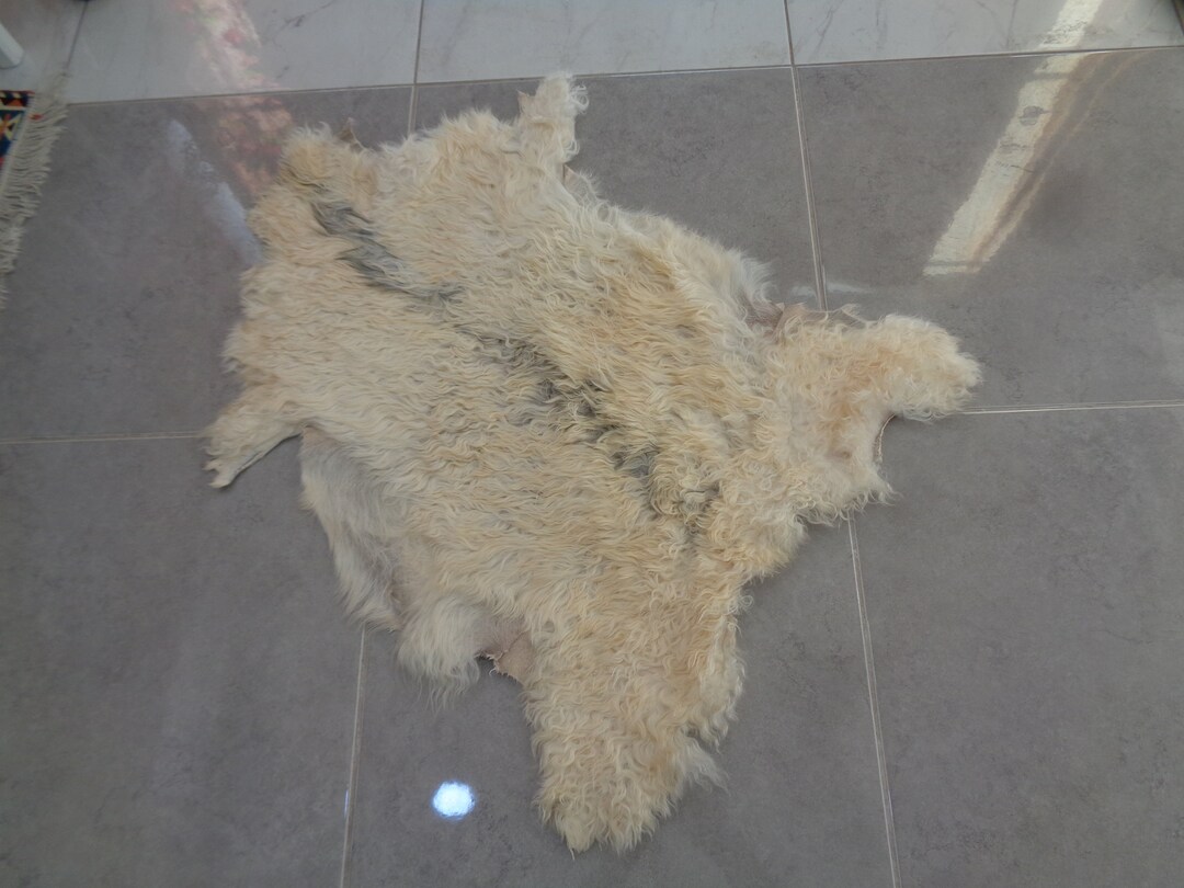 Goat Skin Hide off White Angora Hide Cozy Goatskin for - Etsy