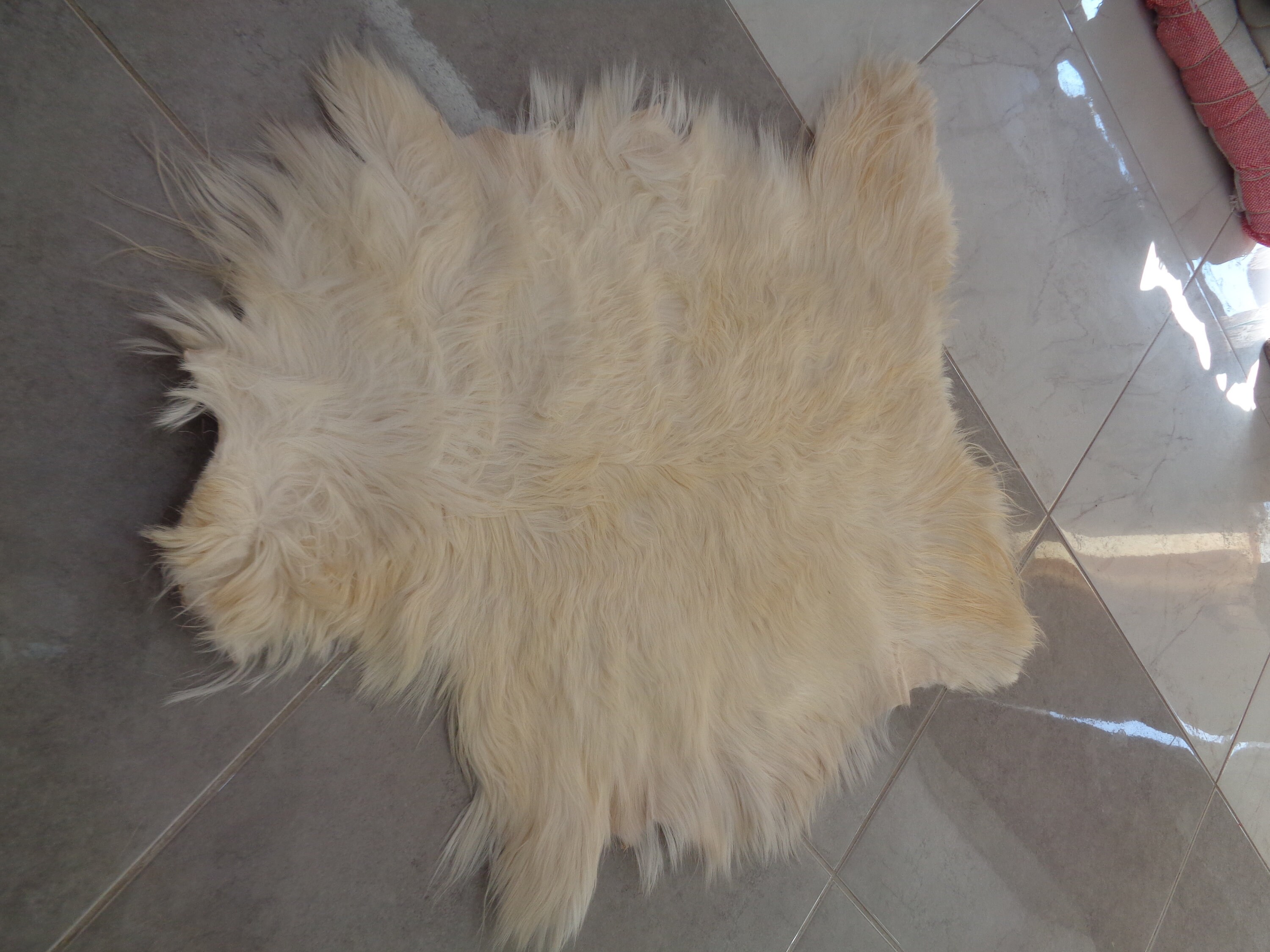 Goat Skin Hide Cream Sofa Cover Rug Goatskin for Upholstery - Etsy