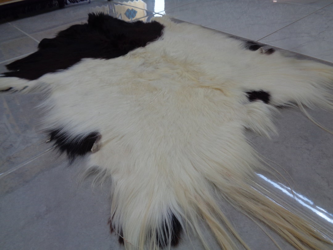 Organically Tanned Goatskin Rug, Sheep Skin Rug, Cowskin 3.4 X 2.8 Goat Fur V687 - Etsy