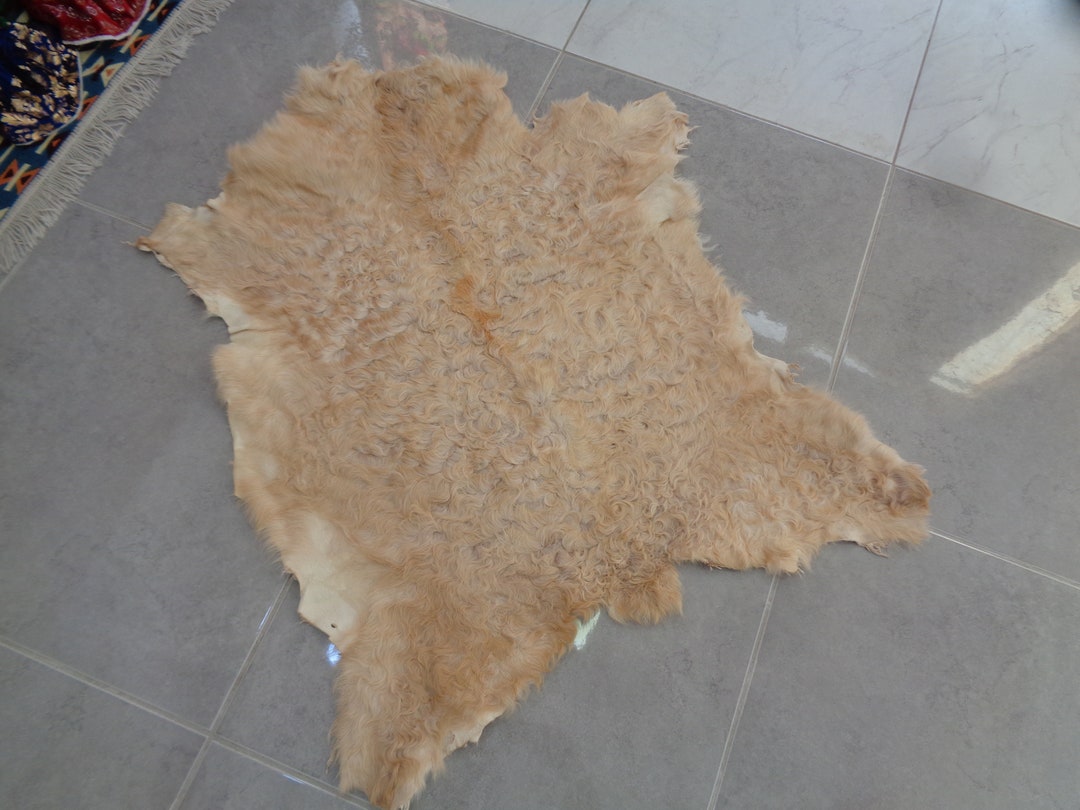 Off White Goat Hide Rug, Hunter Wall Ornamentation, Real Goatskin Hide ...
