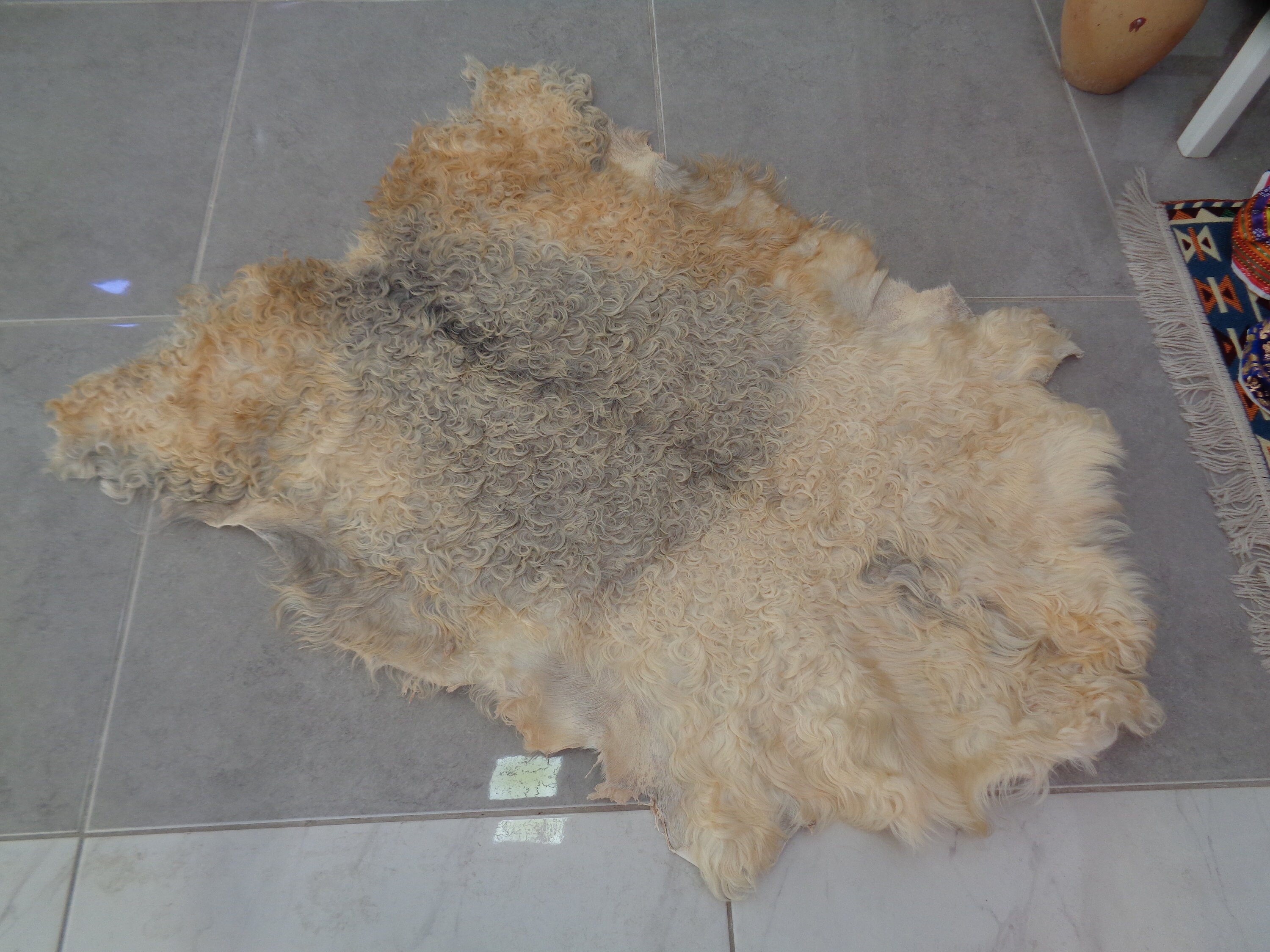 Angora Goatskin Rug Curly Mohair Skin Super Soft Bed for - Etsy