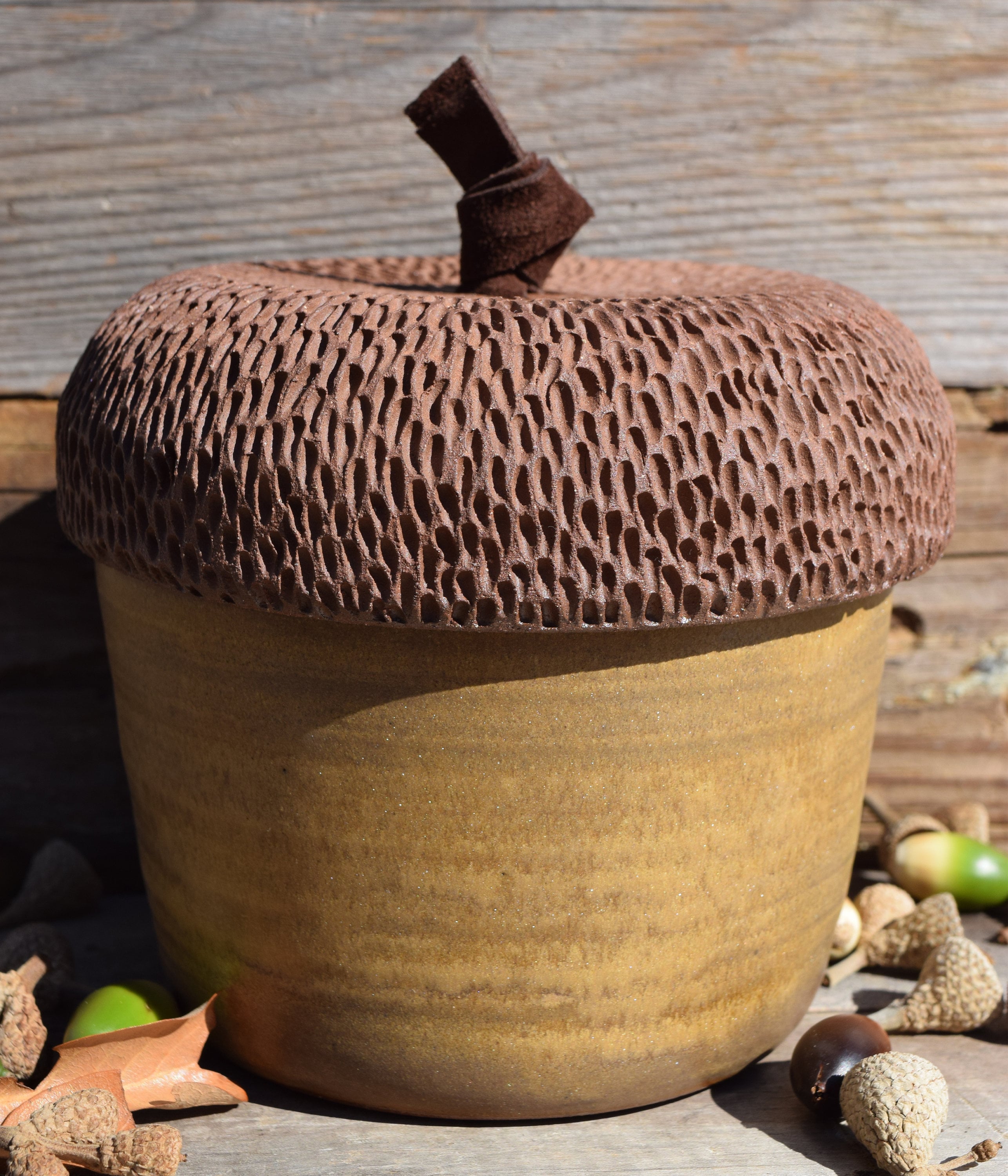Acorn Jars - Etsy