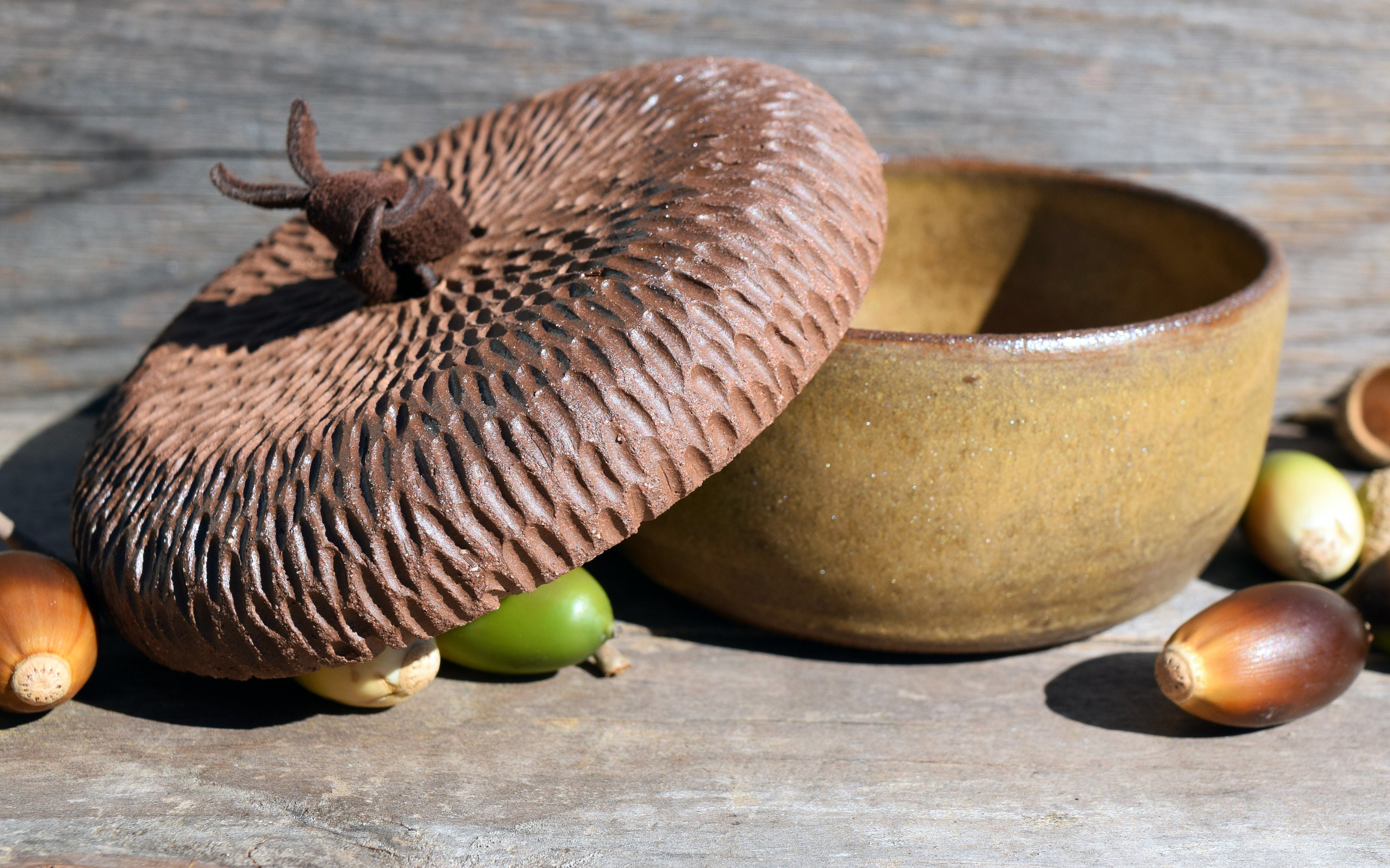 Acorn Jars With Hand Carved Lids - Etsy
