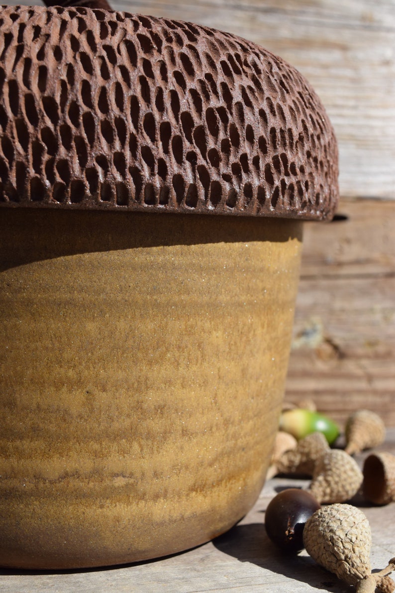 Acorn Jars - Etsy