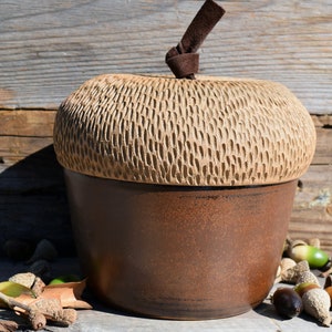 Acorn Jars - Etsy