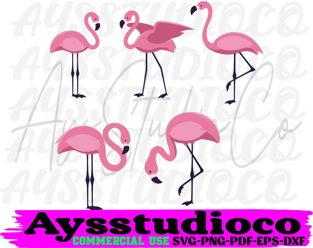 Flamingo Bundle Svg,flamingo SVG Cut File,flamingo Png,flamingo Svg for ...