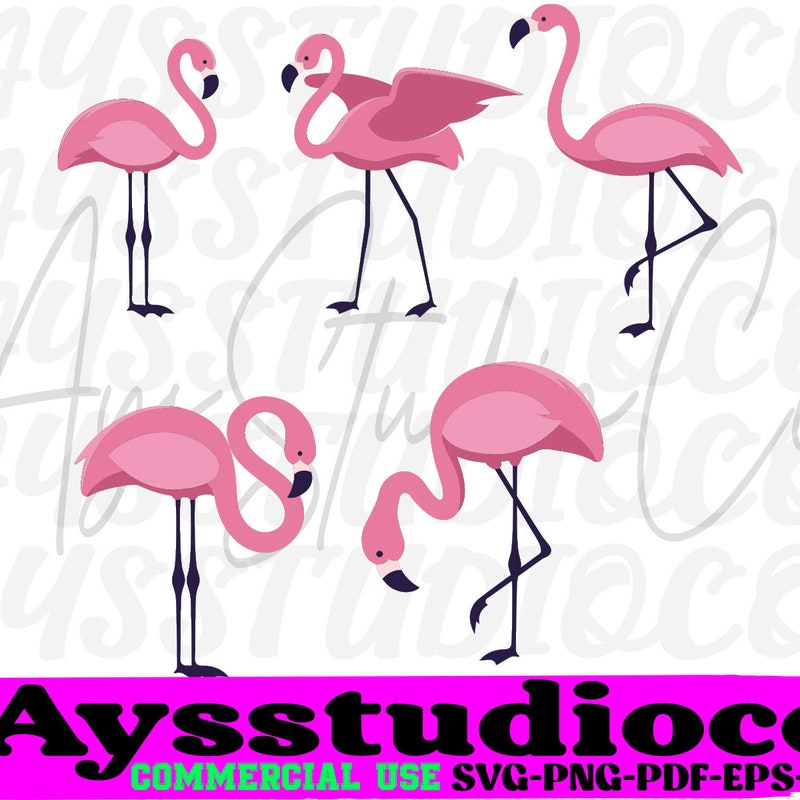Flamingo Svg - Etsy