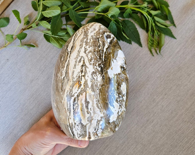 Large Sea Jasper Freeform / Polished Sea Jasper Cut Base / Gifts for ...