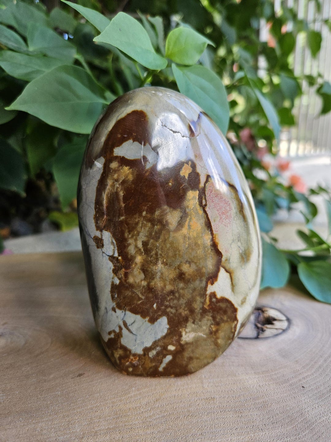 Large Polychrome Jasper Freeform / Polished Polychrome Jasper Cut Base ...
