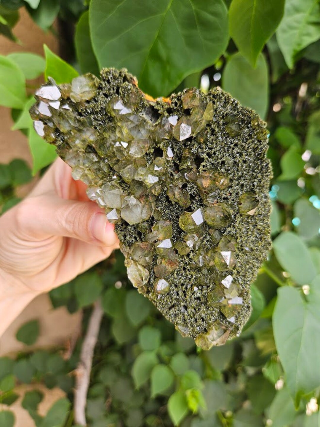 Rare Find Quality Forest Quartz Crystal / Raw Epidote and Clear Quartz ...