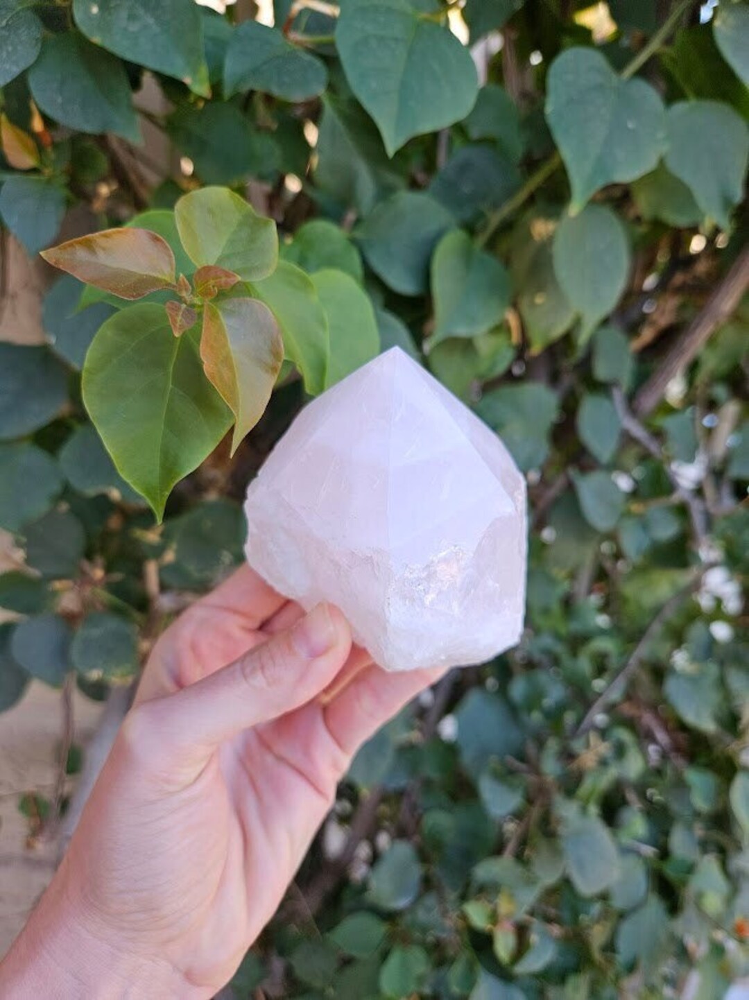 Crystal Rose Quartz Cut Base / Raw and Polished Rose Quartz Point ...