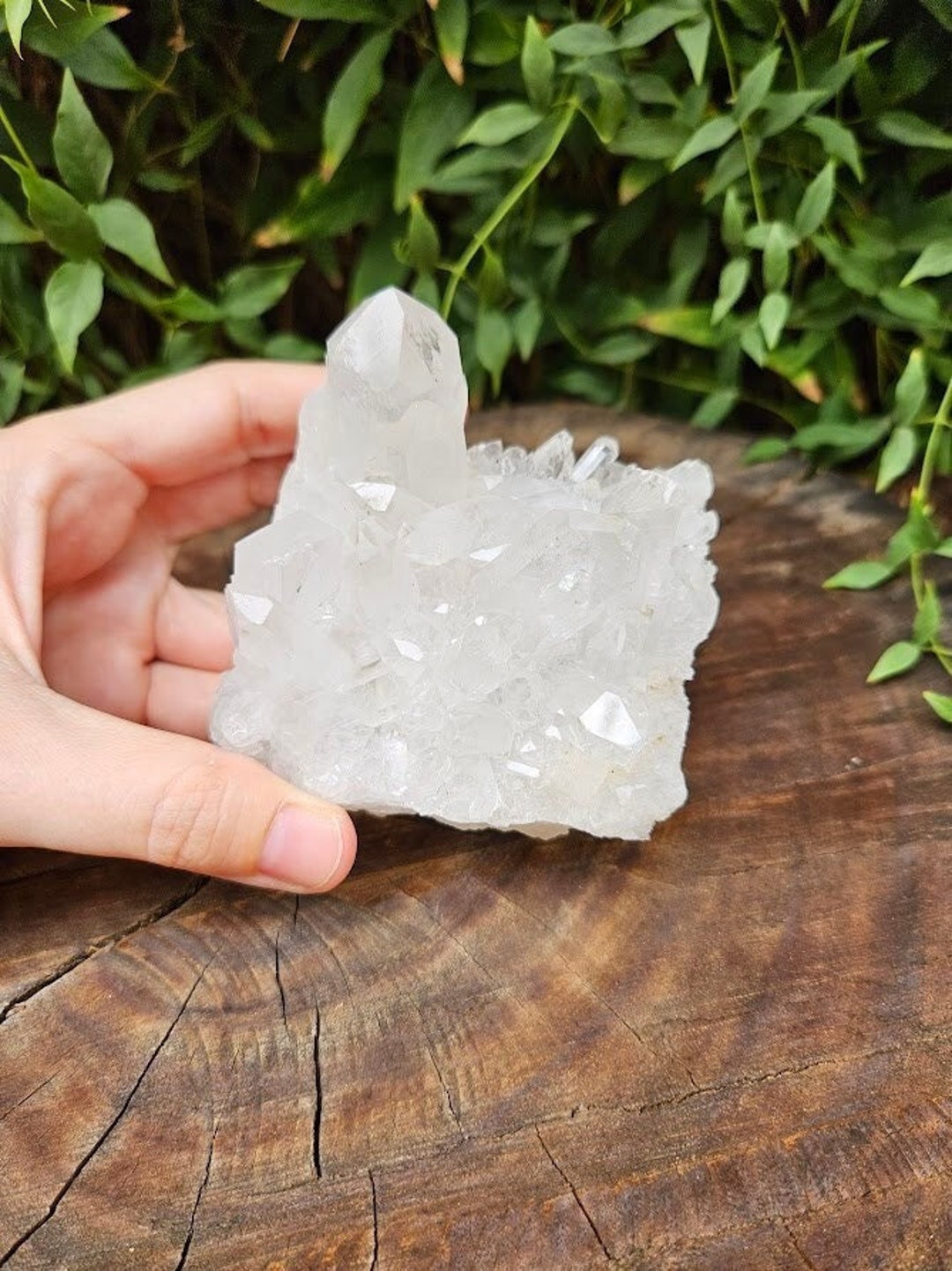 Stunning Clear Quartz Cluster / Raw and Polished Clear Quartz Crystal ...