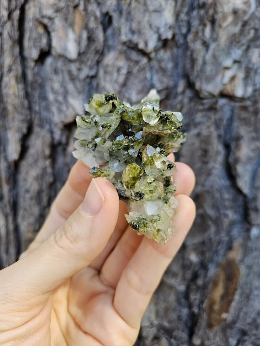 5 Small Forest Quartz Crystals: Turkish Epidote Clusters - Etsy