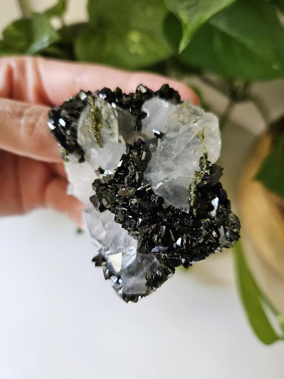 Quality Forest Quartz Cluster: Turkish Epidote and Clear Quartz Crystal ...