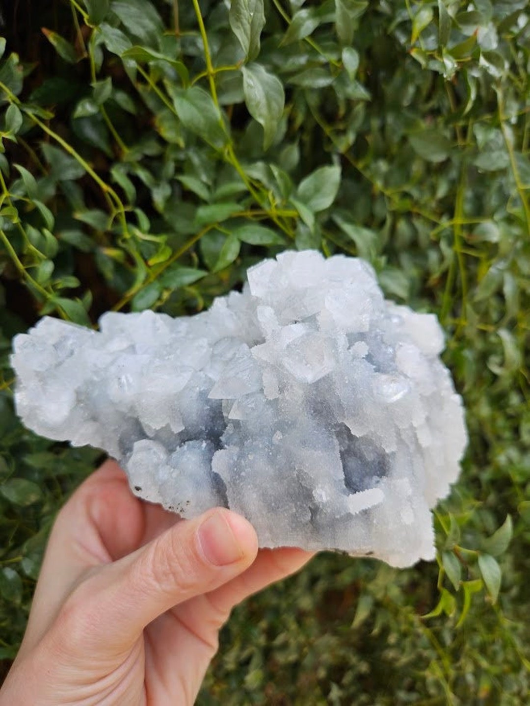 Wow! Stunning Blue Chalcedony Cluster / Chalcedony Apophyllite Crystal ...