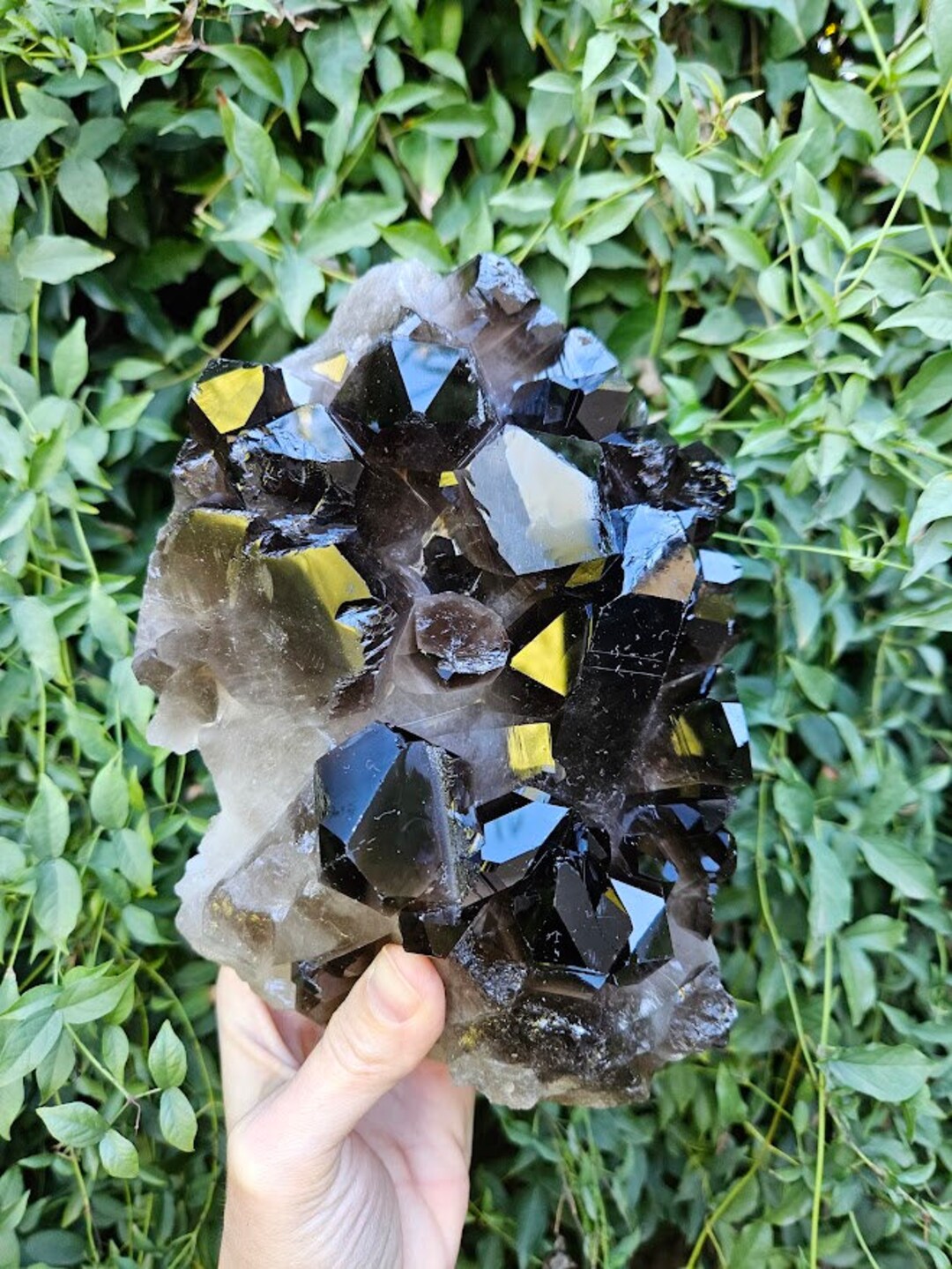 XL Smoky Quartz Cluster / Raw and Polished Smoky Quartz Crystal / Large ...