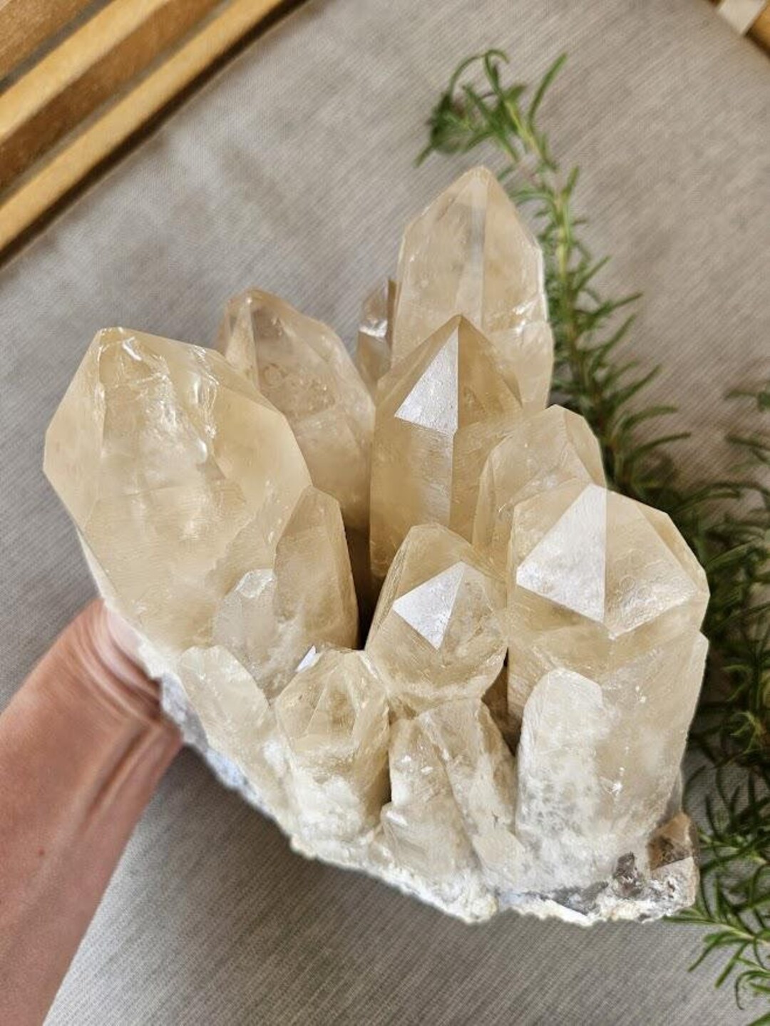 Large Citrine Cluster From Tanzania / Natural Citrine Crystal / Genuine ...