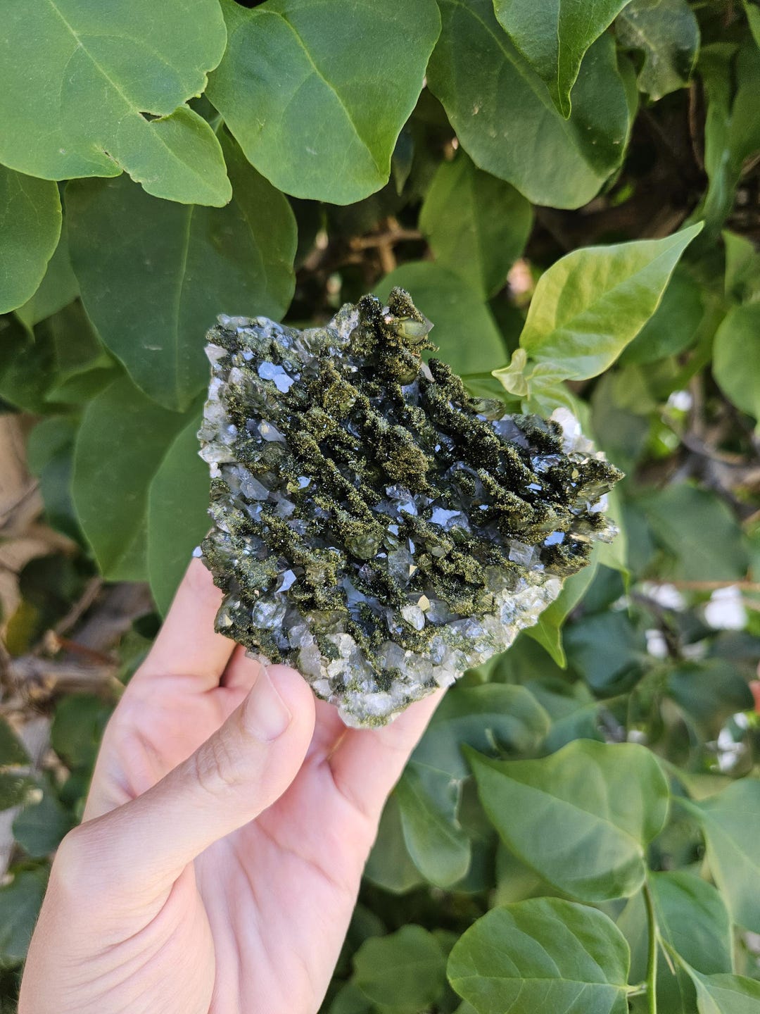 Rare Find! Quality Forest Quartz Crystal / Raw Epidote and Clear Quartz ...