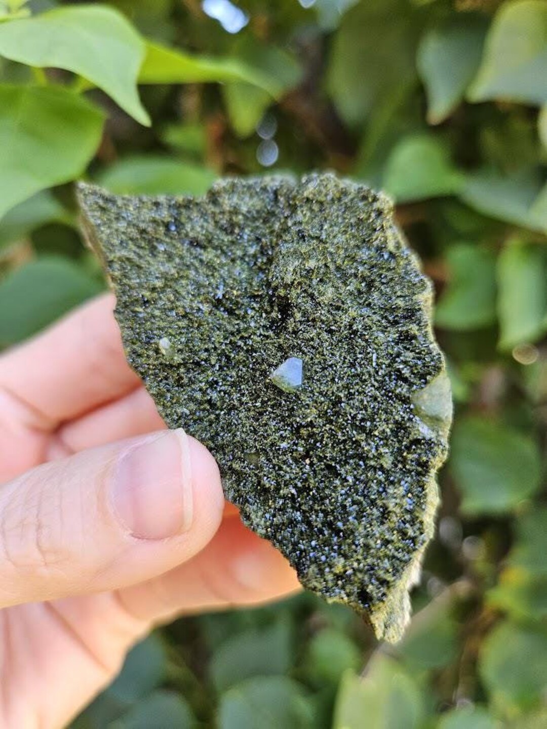 Rare Find Stunning Forest Quartz Crystal / Raw Epidote and Clear Quartz ...